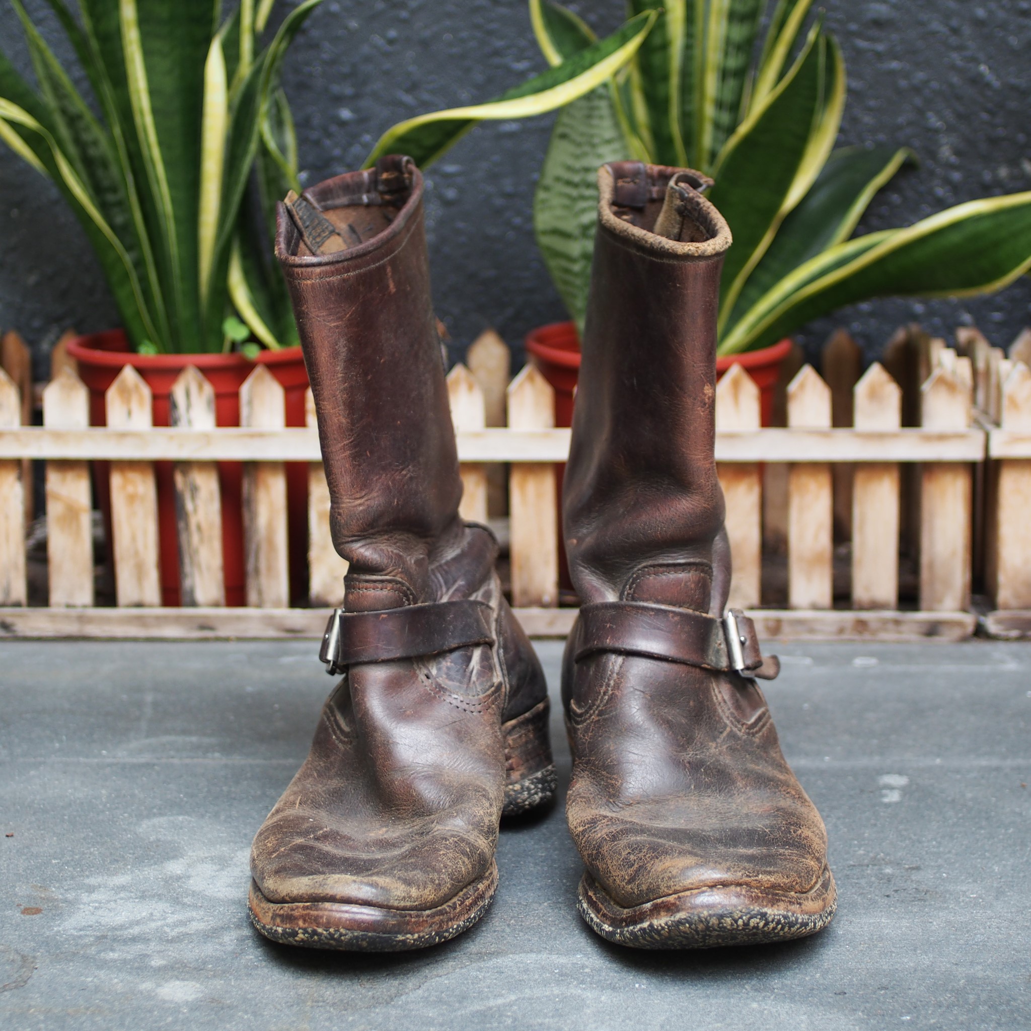 Dr. Sole Interview - Creating Ripples in the Sole Industry - Withered Fig